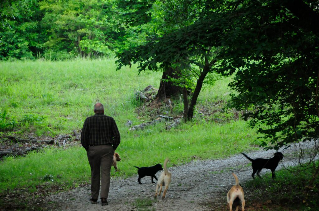 Prairie Plains Kennels – British Labrador Retrievers